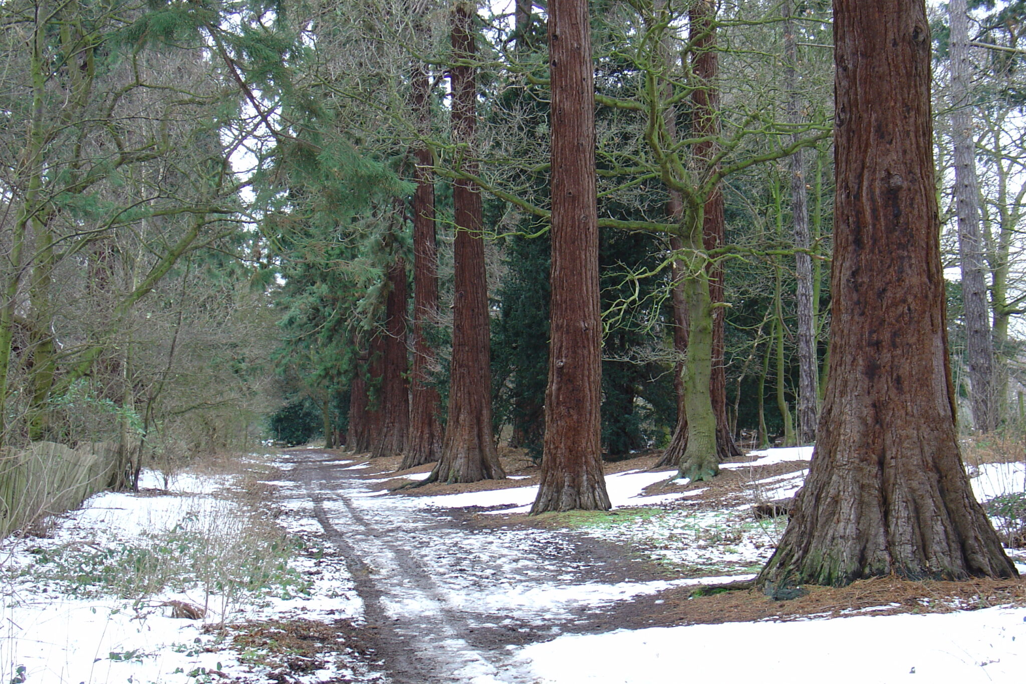 Spotlight on Havering - FilmFixer